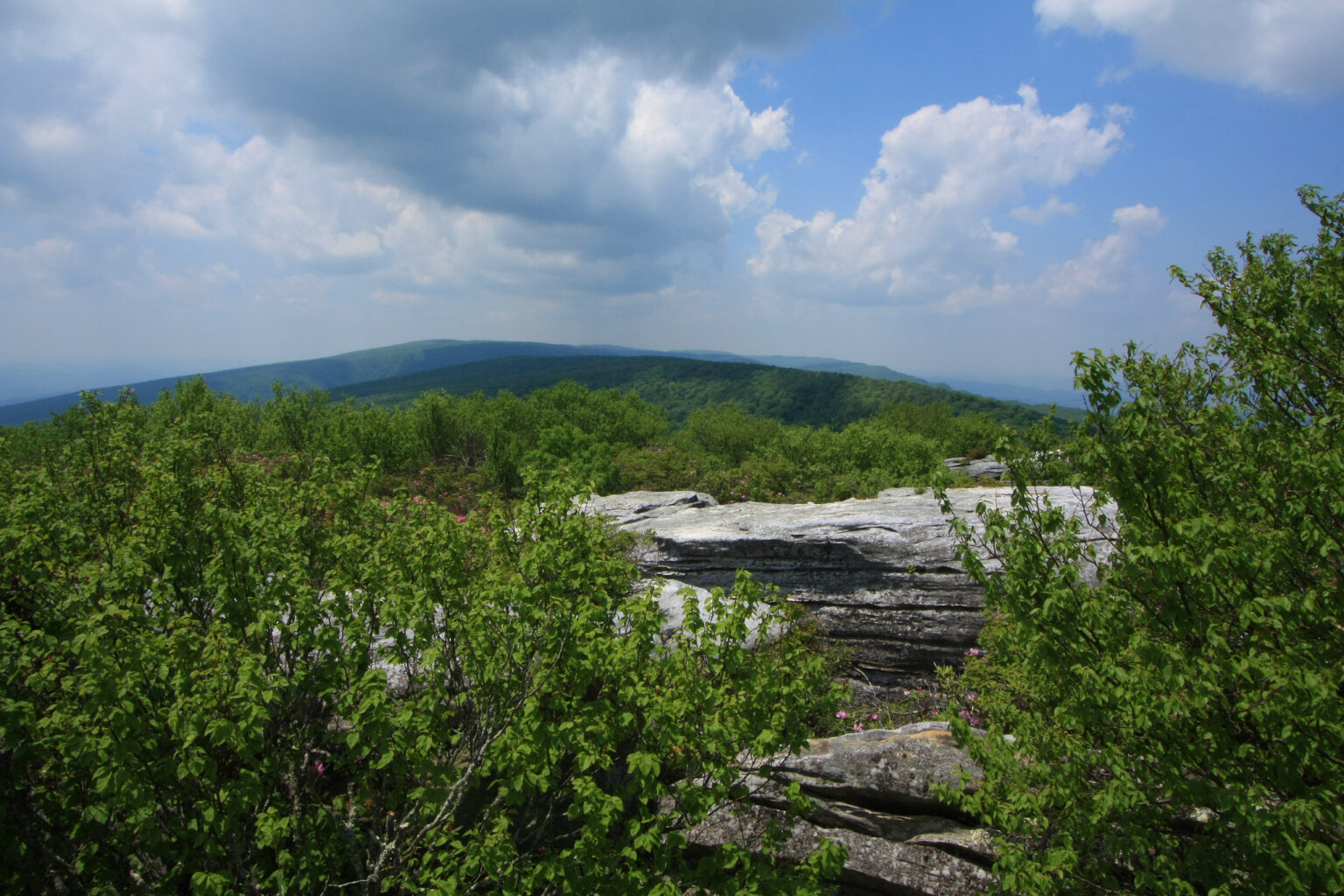 The Channels Area Preserve - Visit Abingdon Virginia