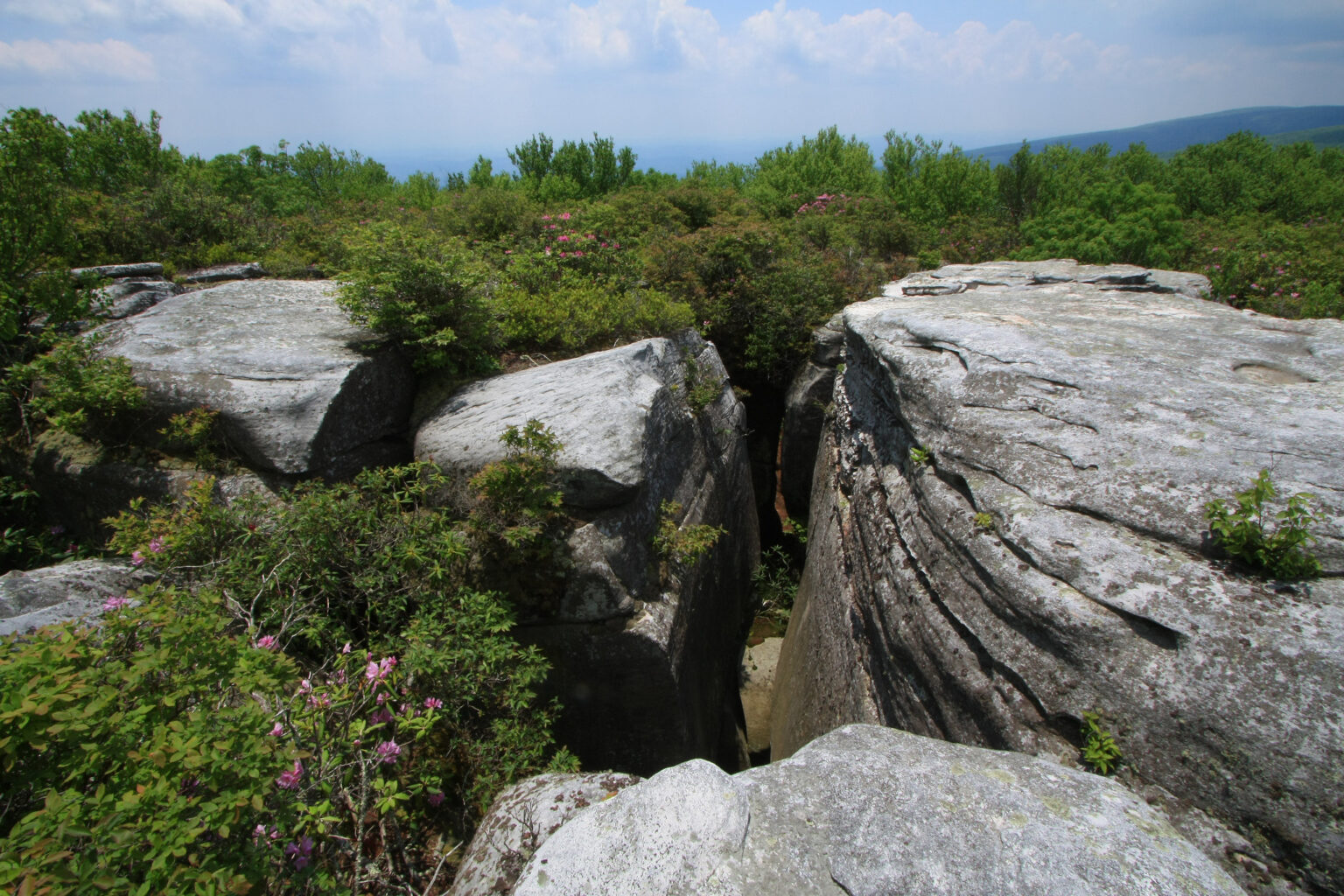 The Channels Area Preserve - Visit Abingdon Virginia
